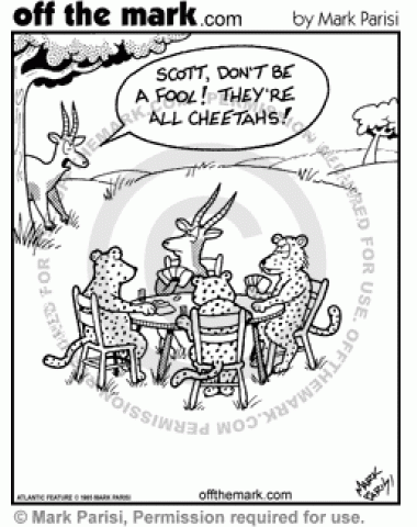 Cheating Cheetahs - off the mark cartoons