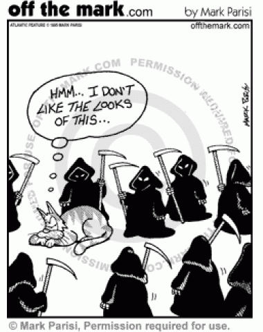 Cat Death - off the mark cartoons