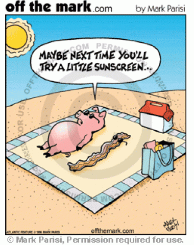 Pig Bacon Sunburn - off the mark cartoons
