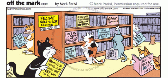 Cat Self Help - off the mark cartoons