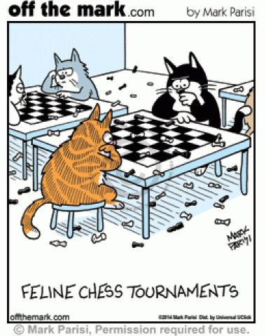 Feline Chess Tournaments - off the mark cartoons