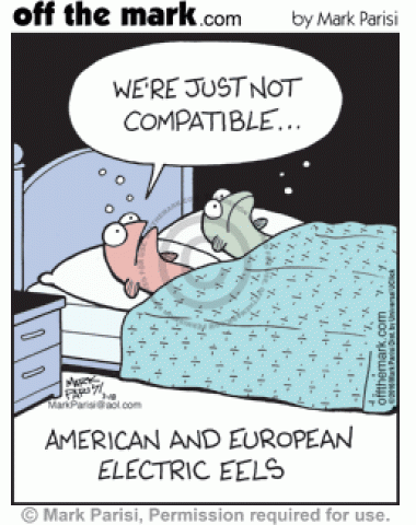 Electric Eel Compatibility - off the mark cartoons