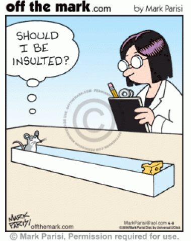 Easy Maze For Mouse - off the mark cartoons