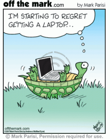 Turtle's Laptop Regret - off the mark cartoons