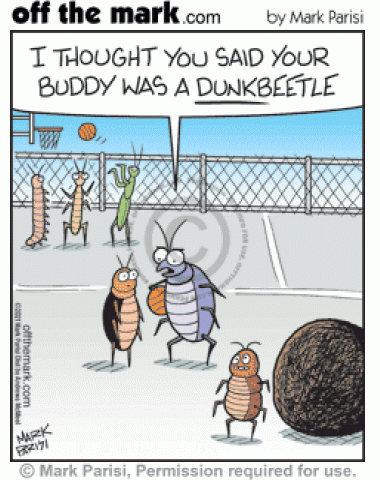 Dung Beetle Basketball Player Bug Can’t Dunk - off the mark cartoons