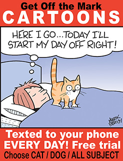 10,000 + off the mark cartoons by Mark Parisi